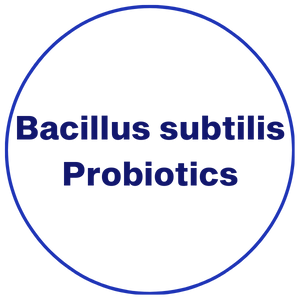 Bacillus subtilis Probiotic Supplement