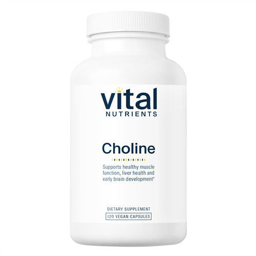 Choline - Essential Nutrient for Brain and Nervous System Health